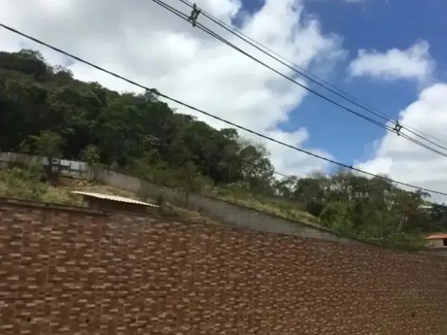 Terreno / Lote para Venda em Juiz de Fora/MG Grama