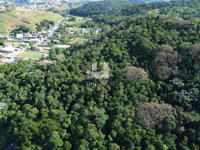 Terreno / Lote para Venda em Juiz de Fora/MG Grama