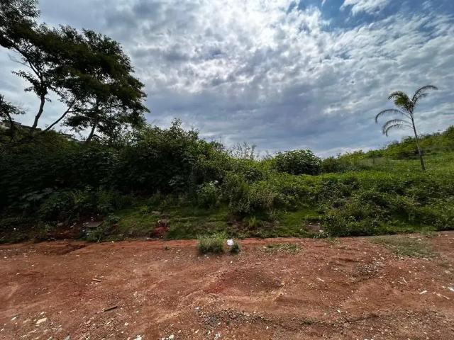 Terreno / Lote para Venda em Juiz de Fora/MG Grama