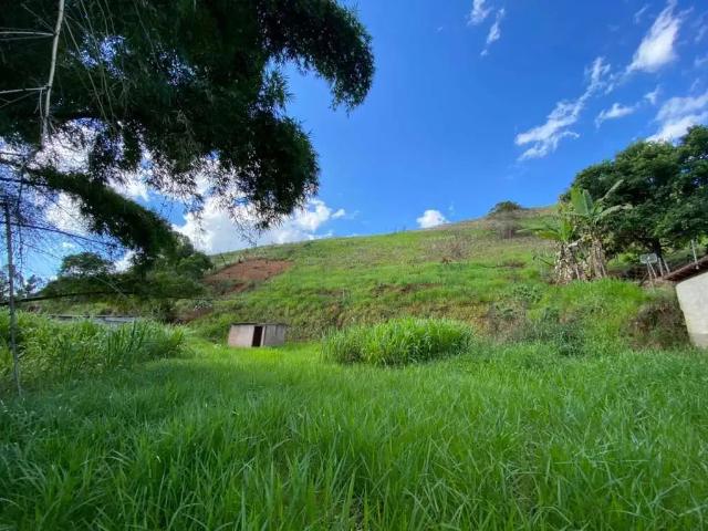 Terreno / Lote para Venda em Juiz de Fora/MG Grama