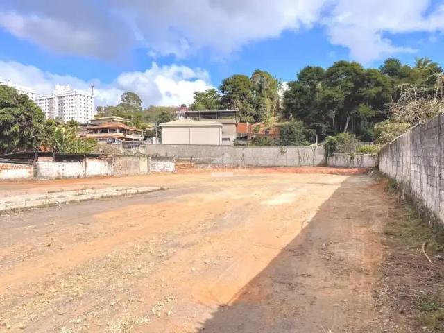 Terreno / Lote para Venda em Juiz de Fora/MG Grama
