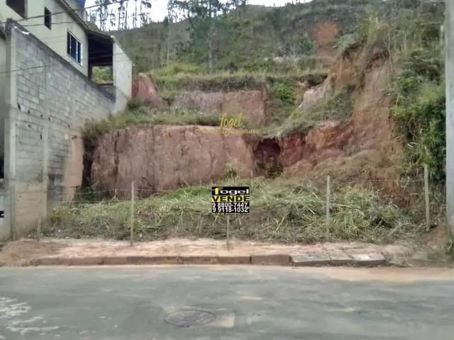 Terreno / Lote para Venda em Juiz de Fora/MG Grama