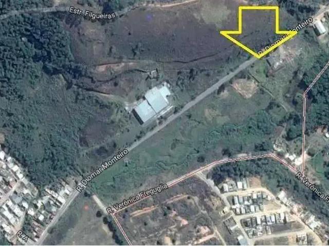 Terreno / Lote para Venda em Juiz de Fora/MG Grama