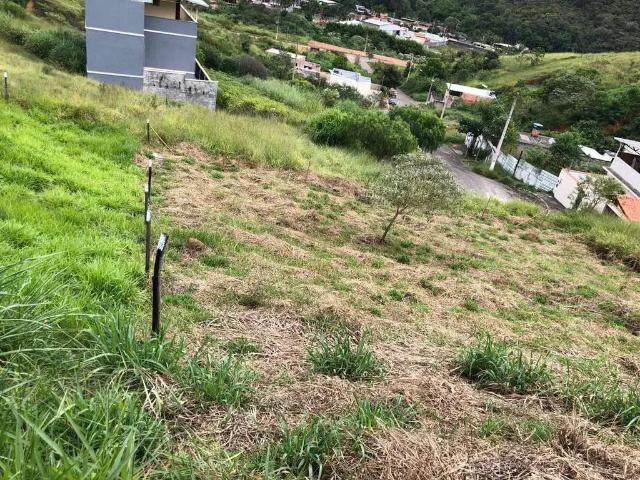 Terreno / Lote para Venda em Juiz de Fora/MG Grama