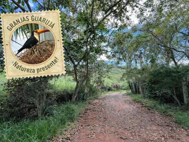 Terreno / Lote para Venda em Juiz de Fora/MG Grama