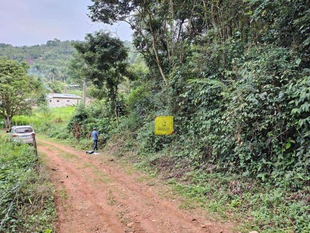 Terreno / Lote para Venda em Juiz de Fora/MG Humaitá