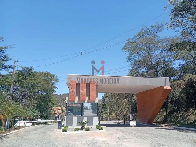Terreno / Lote para Venda em Juiz de Fora/MG Ipiranga
