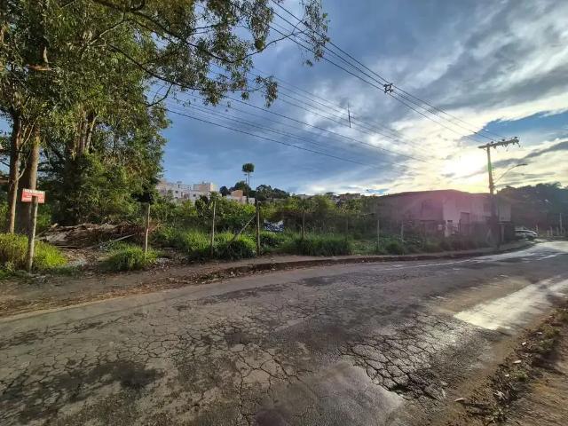 Terreno / Lote para Venda em Juiz de Fora/MG Ipiranga