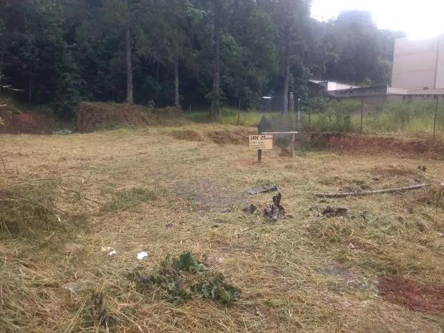 Terreno / Lote para Venda em Juiz de Fora/MG Jóquei Clube