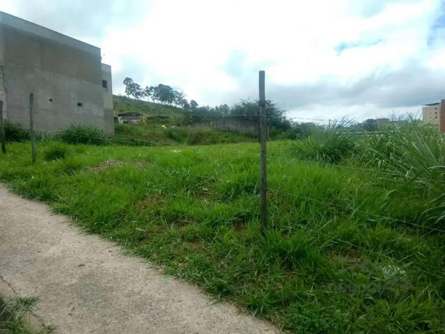 Terreno / Lote para Venda em Juiz de Fora/MG Nova Benfica