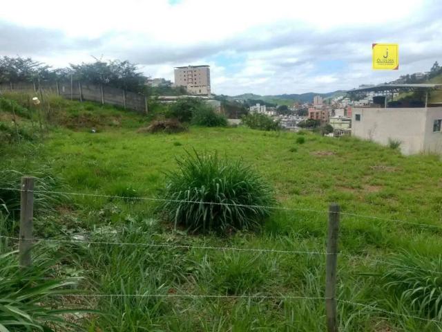 Terreno / Lote para Venda em Juiz de Fora/MG Nova Benfica