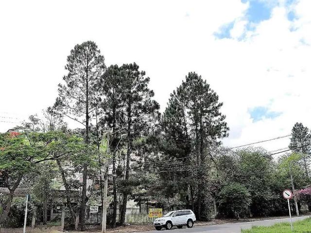 Terreno / Lote para Venda em Juiz de Fora/MG Nova Benfica