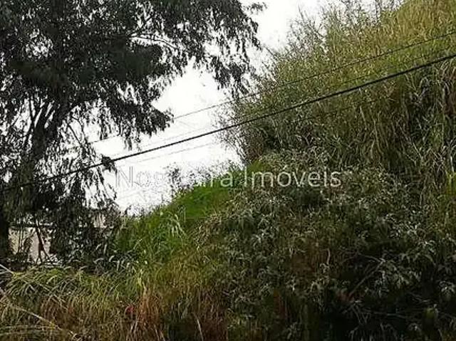Terreno / Lote para Venda em Juiz de Fora/MG Nova Benfica