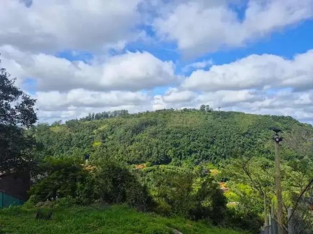 Terreno / Lote para Venda em Juiz de Fora/MG Novo Horizonte