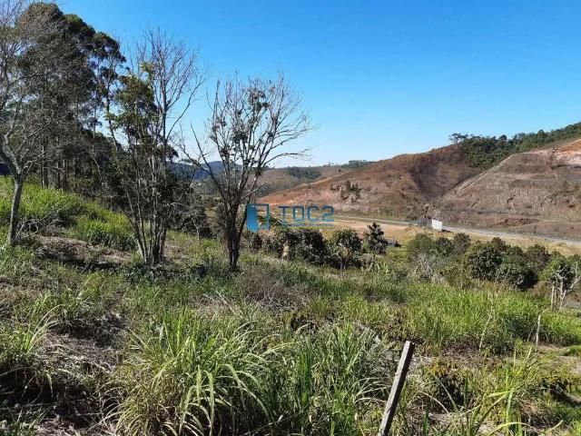 Terreno / Lote para Venda em Juiz de Fora/MG Novo Horizonte