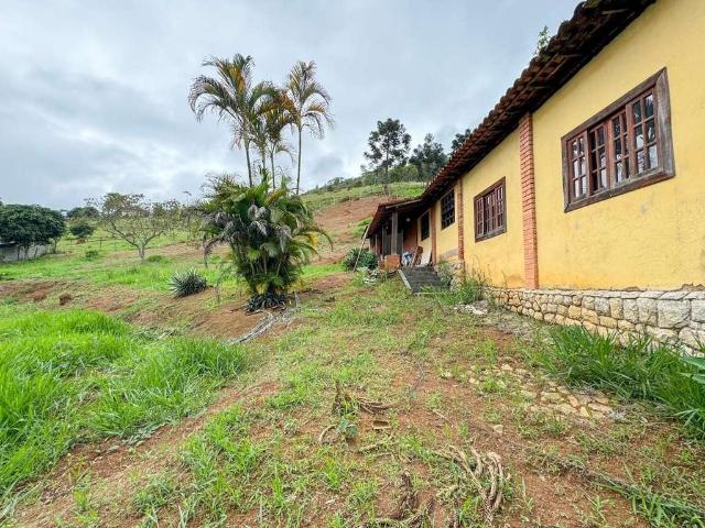 Terreno / Lote para Venda em Juiz de Fora/MG Novo Horizonte