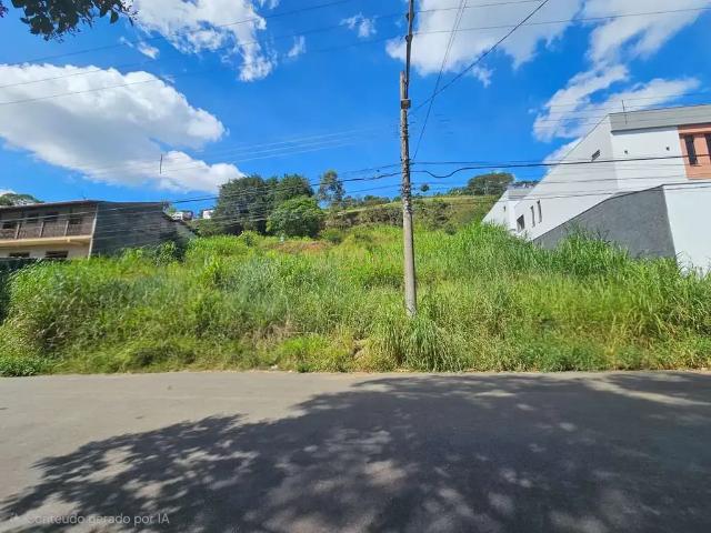 Terreno / Lote para Venda em Juiz de Fora/MG Novo Horizonte