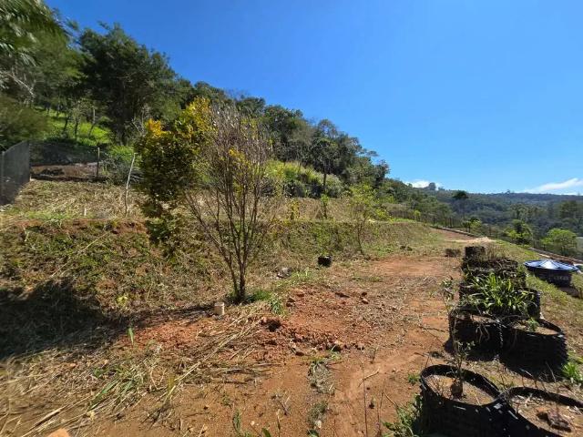 Terreno / Lote para Venda em Juiz de Fora/MG Novo Horizonte