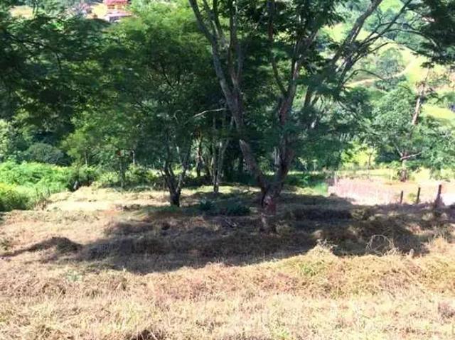 Terreno / Lote para Venda em Juiz de Fora/MG Novo Horizonte
