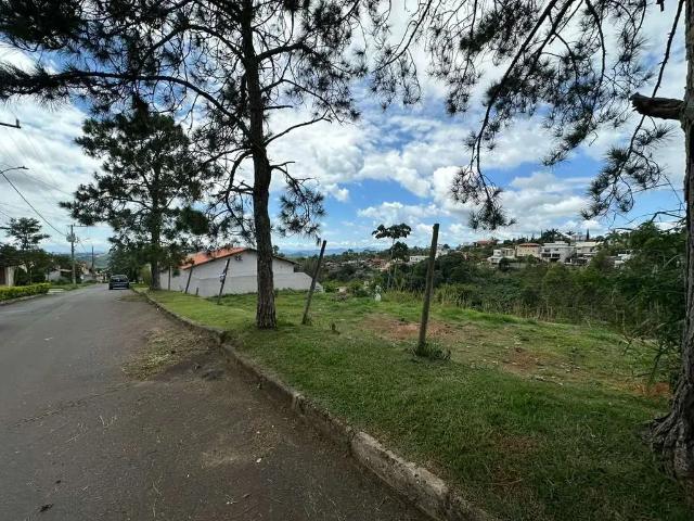 Terreno / Lote para Venda em Juiz de Fora/MG Novo Horizonte