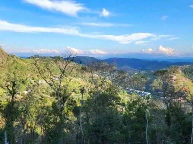 Terreno / Lote para Venda em Juiz de Fora/MG Paço Del Rey