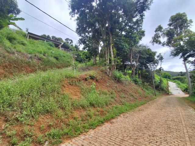 Terreno / Lote para Venda em Juiz de Fora/MG Paço Del Rey