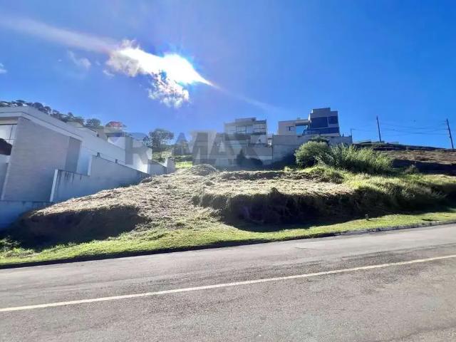Terreno / Lote para Venda em Juiz de Fora/MG Parque Guadalajara