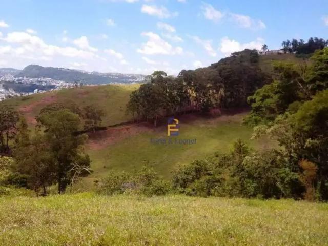 Terreno / Lote para Venda em Juiz de Fora/MG Parque Guarani