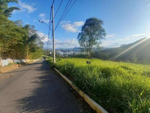 Terreno / Lote para Venda em Juiz de Fora/MG Parque Guarani