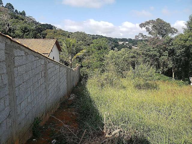 Terreno / Lote para Venda em Juiz de Fora/MG Parque Independência III