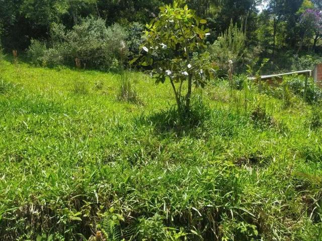 Terreno / Lote para Venda em Juiz de Fora/MG Paula Lima