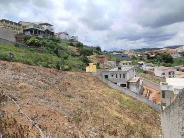 Terreno / Lote para Venda em Juiz de Fora/MG Quintas das Avenidas