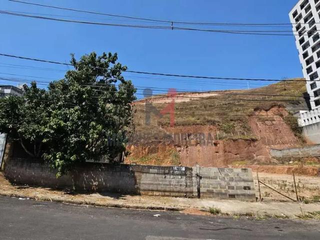 Terreno / Lote para Venda em Juiz de Fora/MG Quintas das Avenidas