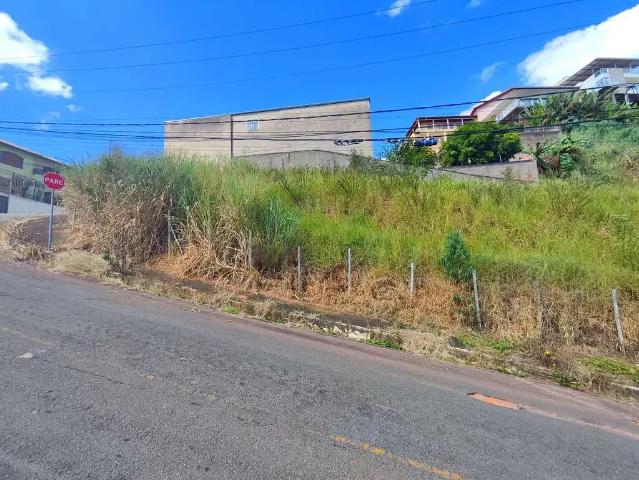 Terreno / Lote para Venda em Juiz de Fora/MG Quintas das Avenidas