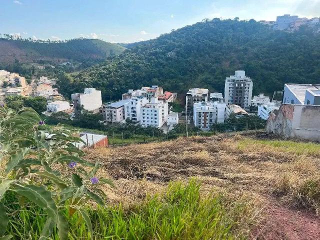 Terreno / Lote para Venda em Juiz de Fora/MG Recanto da Mata