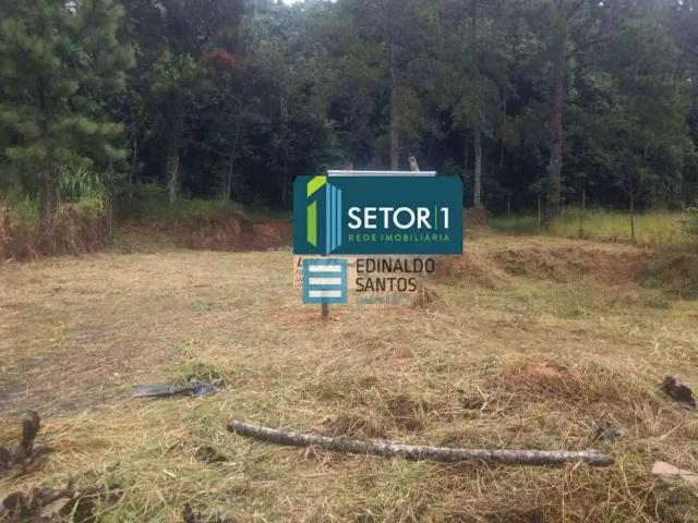 Terreno / Lote para Venda em Juiz de Fora/MG Recanto da Mata