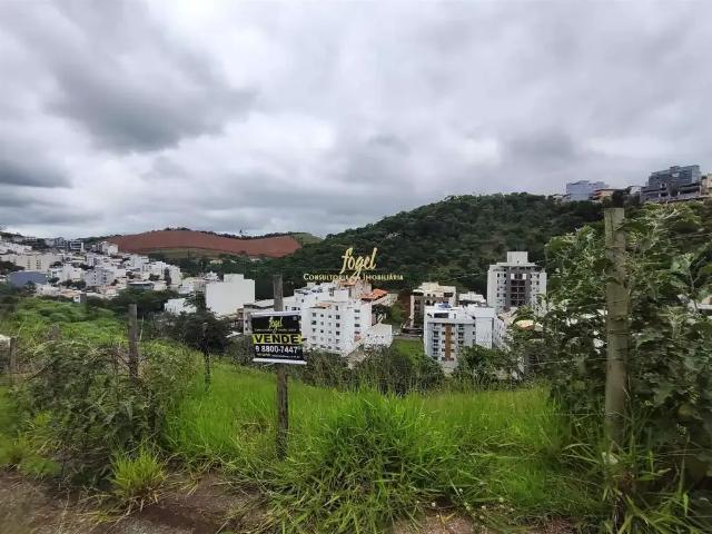 Terreno / Lote para Venda em Juiz de Fora/MG Recanto da Mata