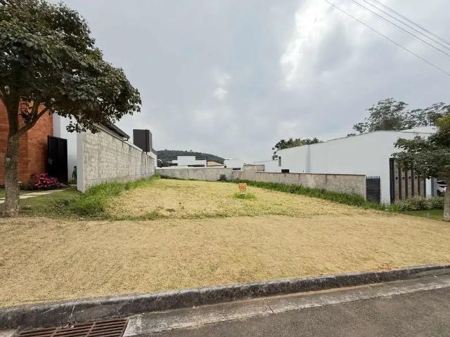 Terreno / Lote para Venda em Juiz de Fora/MG Residencial Alvim