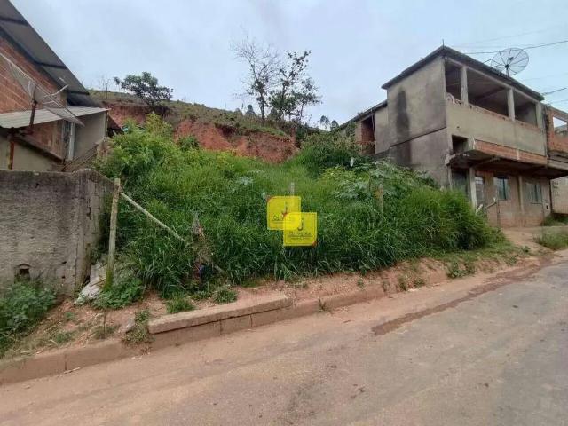 Terreno / Lote para Venda em Juiz de Fora/MG São Damião