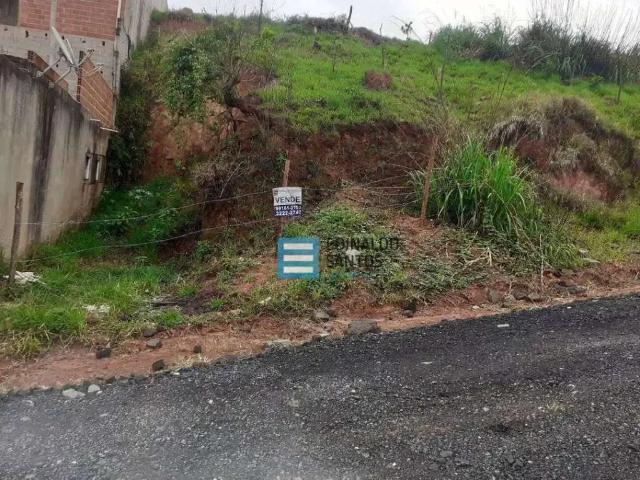 Terreno / Lote para Venda em Juiz de Fora/MG São Francisco de Paula