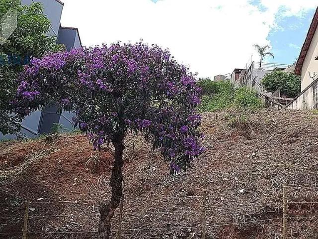 Terreno / Lote para Venda em Juiz de Fora/MG São Mateus