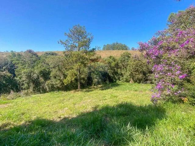 Terreno / Lote para Venda em Juiz de Fora/MG São Pedro