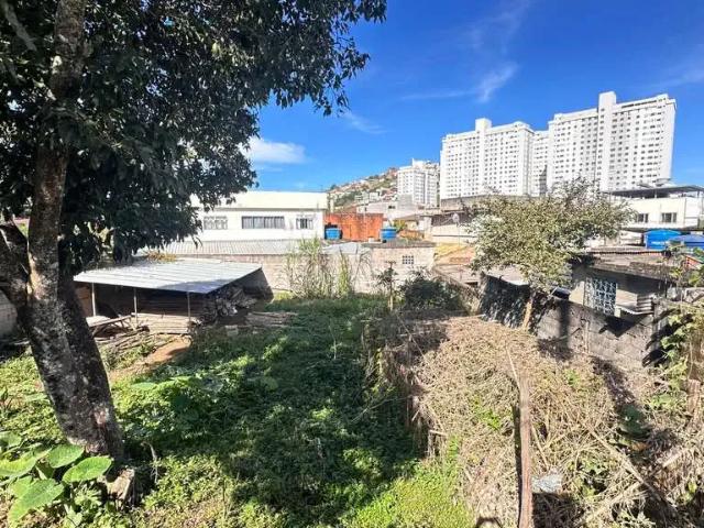 Terreno / Lote para Venda em Juiz de Fora/MG São Pedro