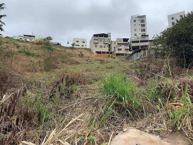 Terreno / Lote para Venda em Juiz de Fora/MG São Pedro