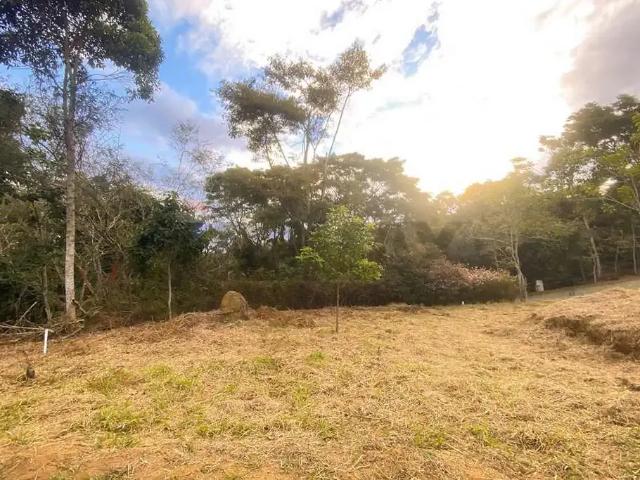 Terreno / Lote para Venda em Juiz de Fora/MG São Pedro