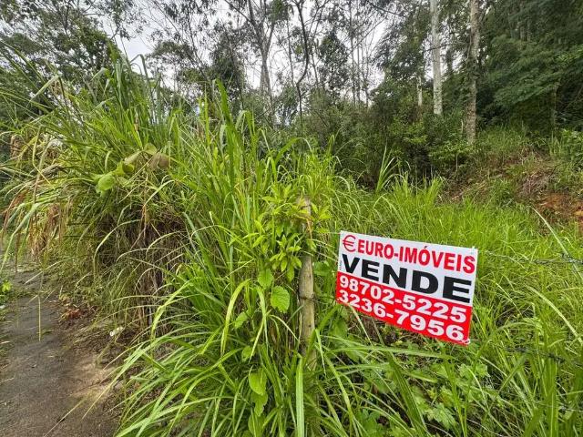 Terreno / Lote para Venda em Juiz de Fora/MG São Pedro