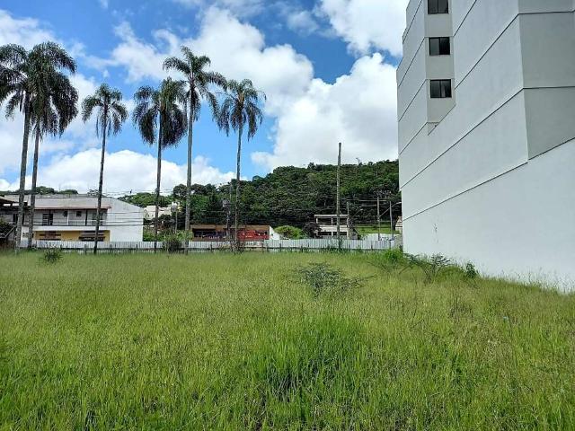 Terreno / Lote para Venda em Juiz de Fora/MG São Pedro