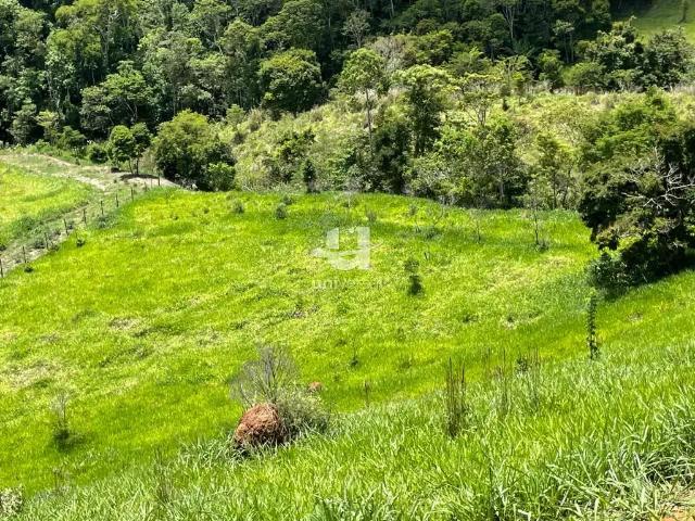 Terreno / Lote para Venda em Juiz de Fora/MG São Pedro