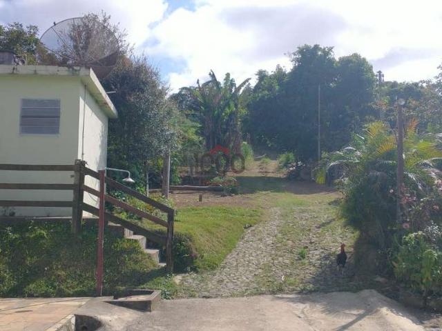 Terreno / Lote para Venda em Juiz de Fora/MG São Pedro