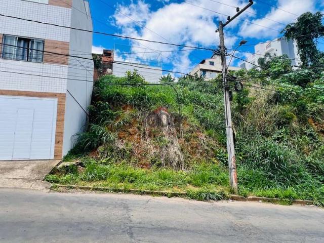Terreno / Lote para Venda em Juiz de Fora/MG São Pedro